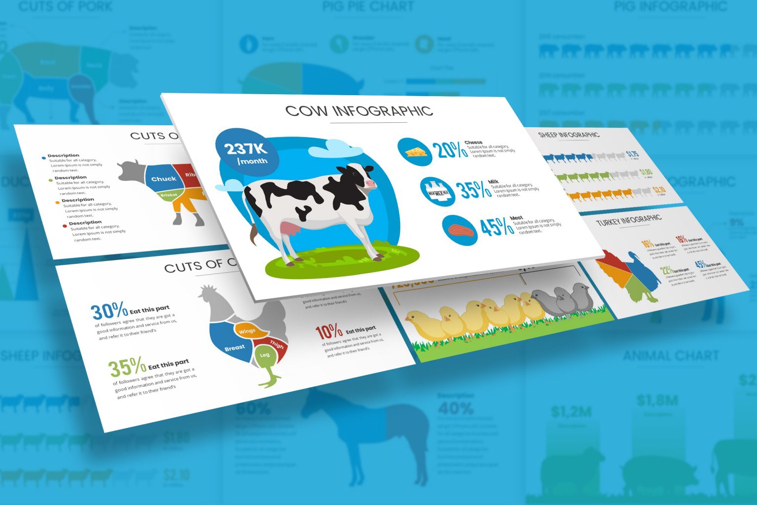 Infographics | Slide Factory